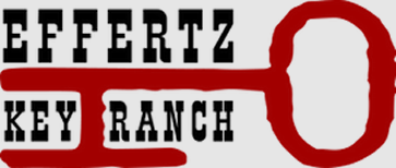 Broadcasting Real-Time Auctions | Effertz Key Ranch