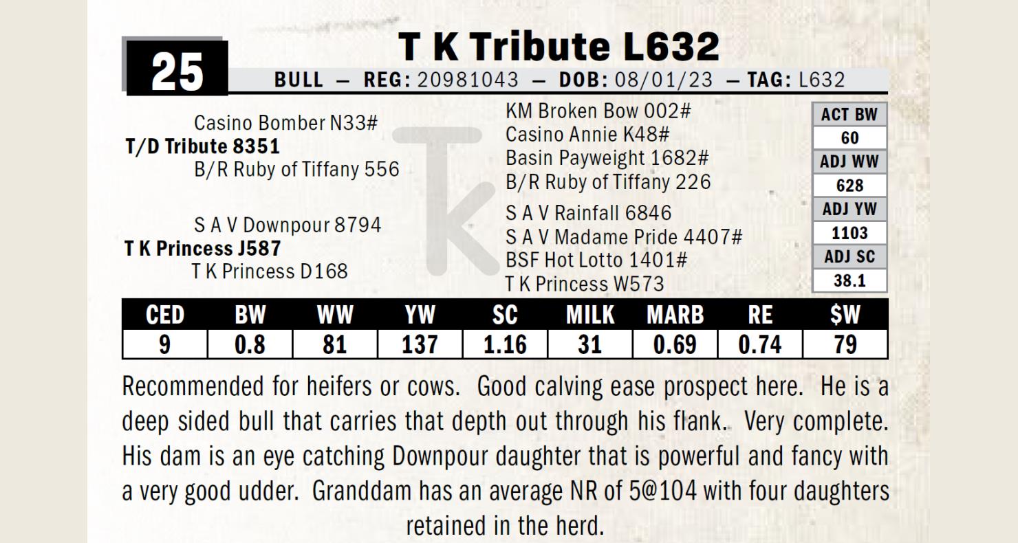 Lot 25: TK Angus & Arrowsmith Red Angus - Angus Bull & Commercial Female Sale | DVAuction