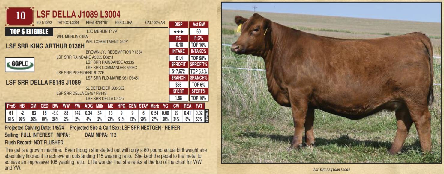Lot 10 Lsf Della J1089 L3004 Ludvigson Stock Farms Prime Time
