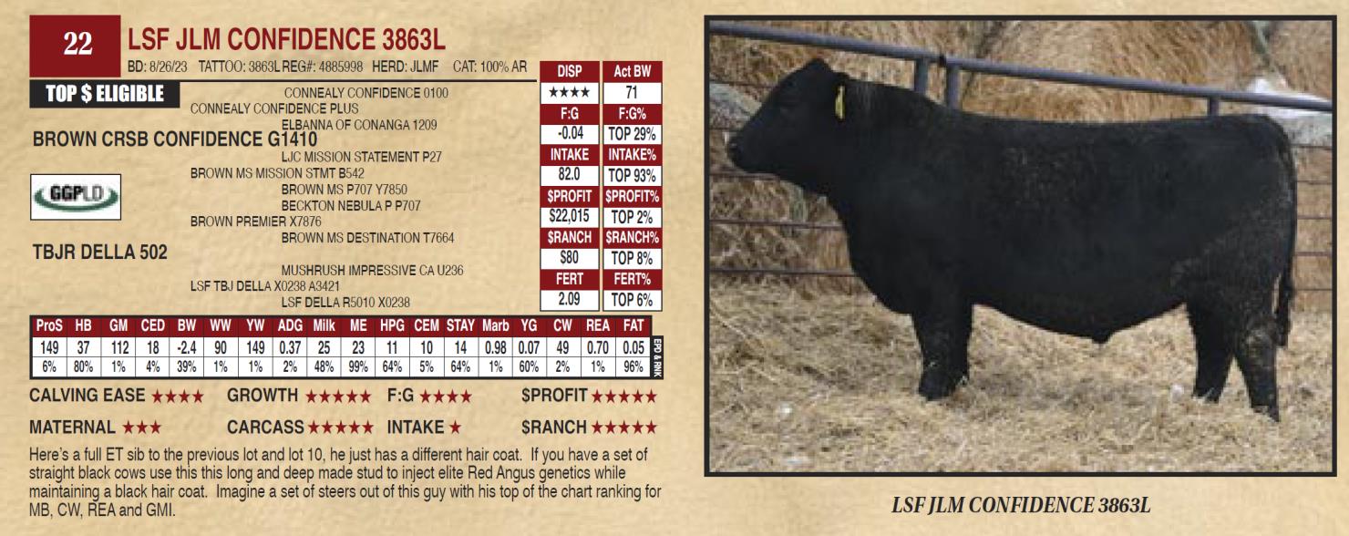 Lot 22: Ludvigson Stock Farms - Big Sky Bull Sale | DVAuction