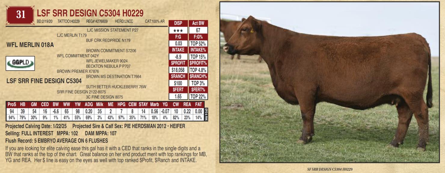 Lot 31 - LSF SRR DESIGN C5304 H0229: Ludvigson Stock Farms - Prime Time ...