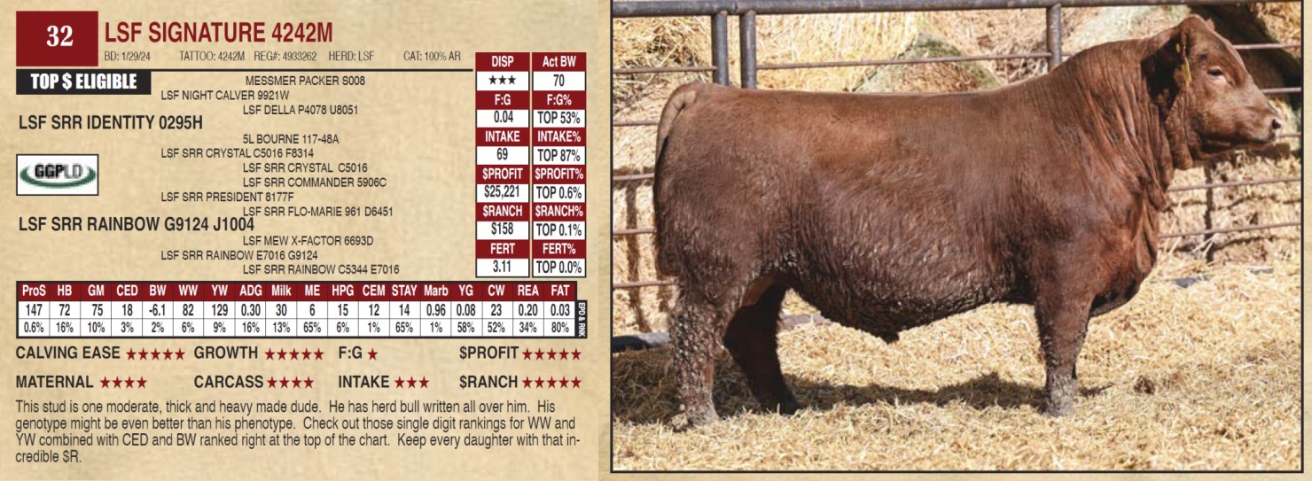 Lot 32: Ludvigson Stock Farms - Spring Herdbuilder Bull Sale | DVAuction