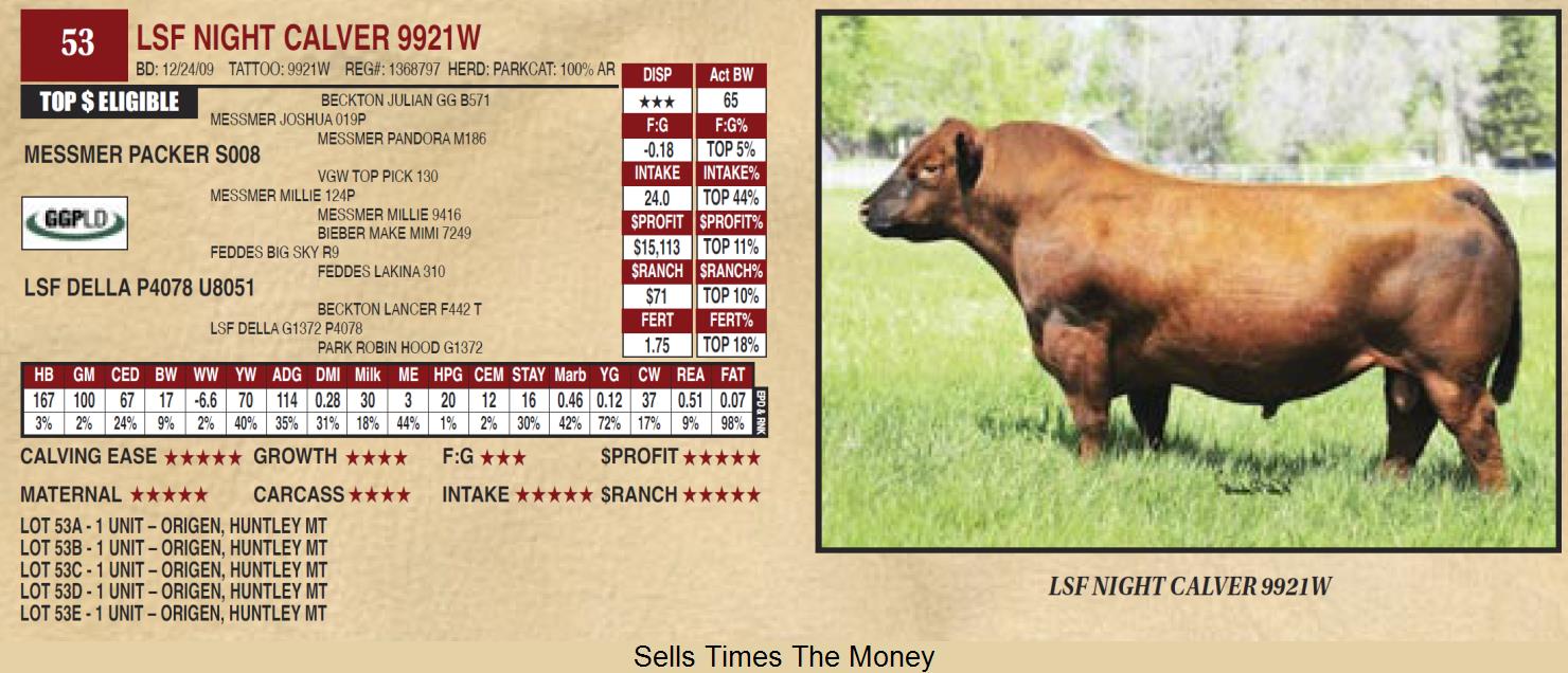 Lot 53C - LSF NIGHT CALVER 9921W: Ludvigson Stock Farms - Prime Time ...