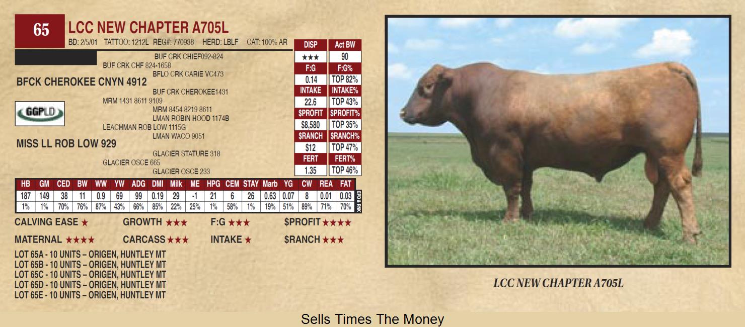 Lot 65A - LCC NEW CHAPTER A705L: Ludvigson Stock Farms - Prime Time ...