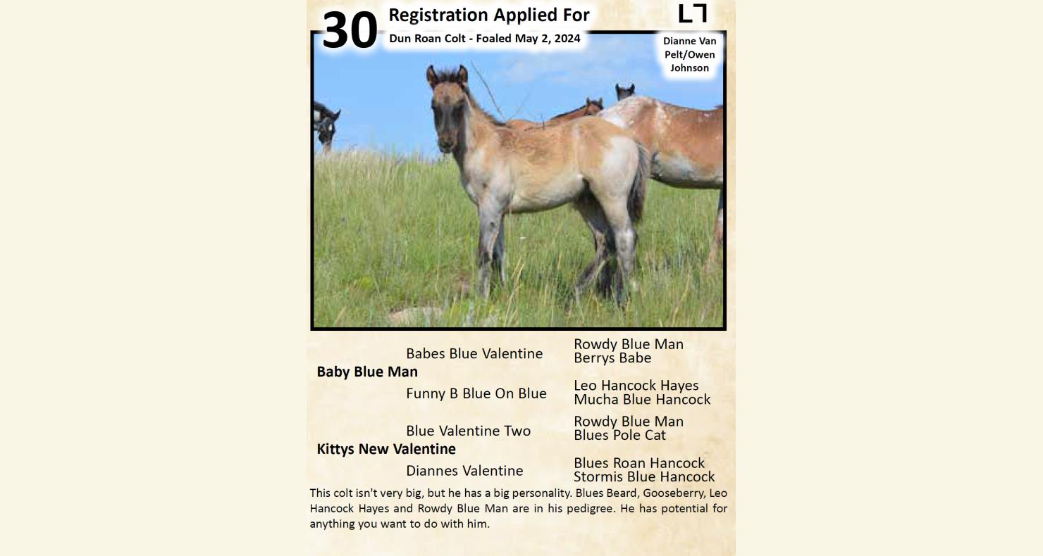 Lot 30: Come To The Source - 26th Annual Horse Sale | DVAuction