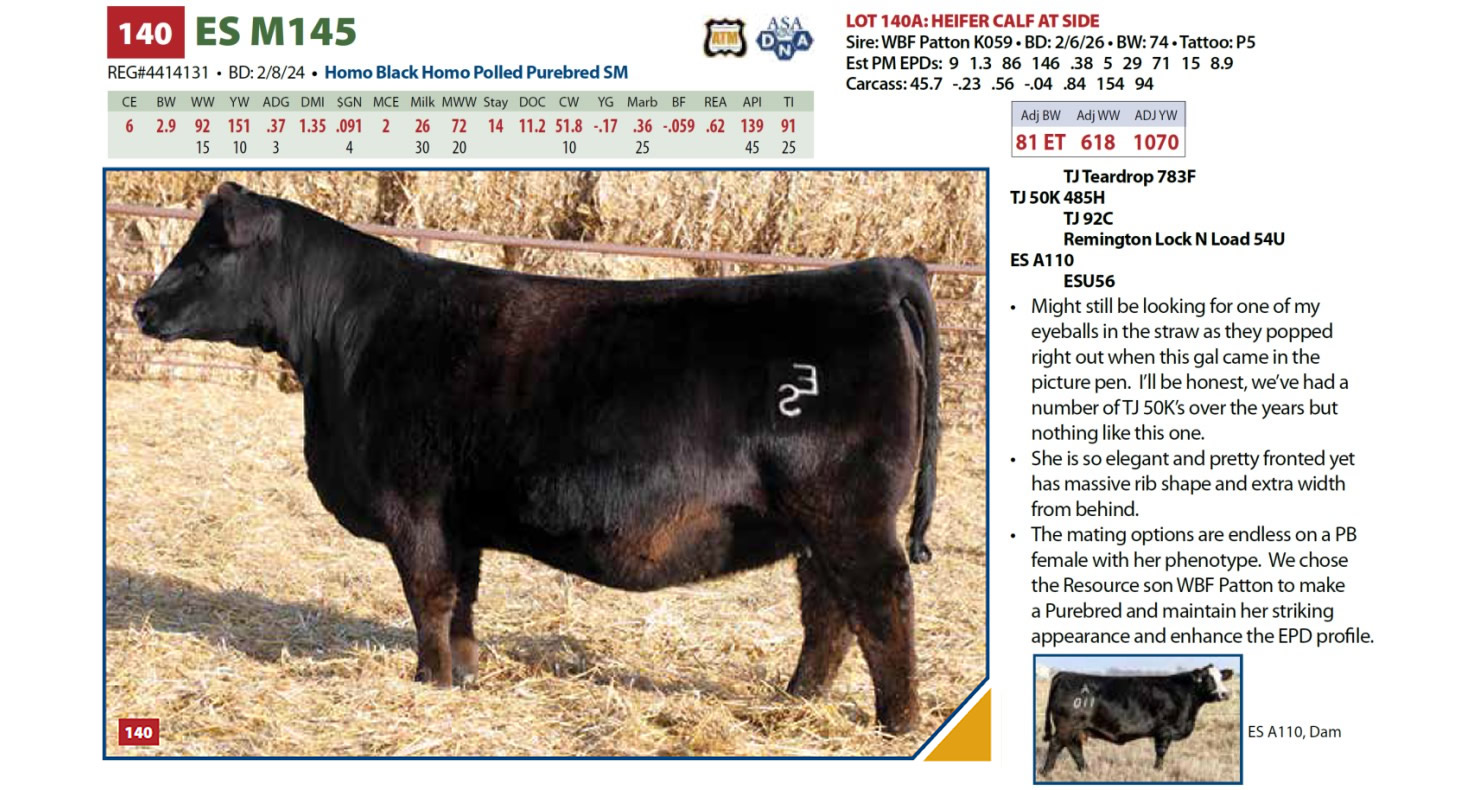 Lot 140: Eichacker Simmental/JK Angus - Annual Simmental & Angus Bull ...