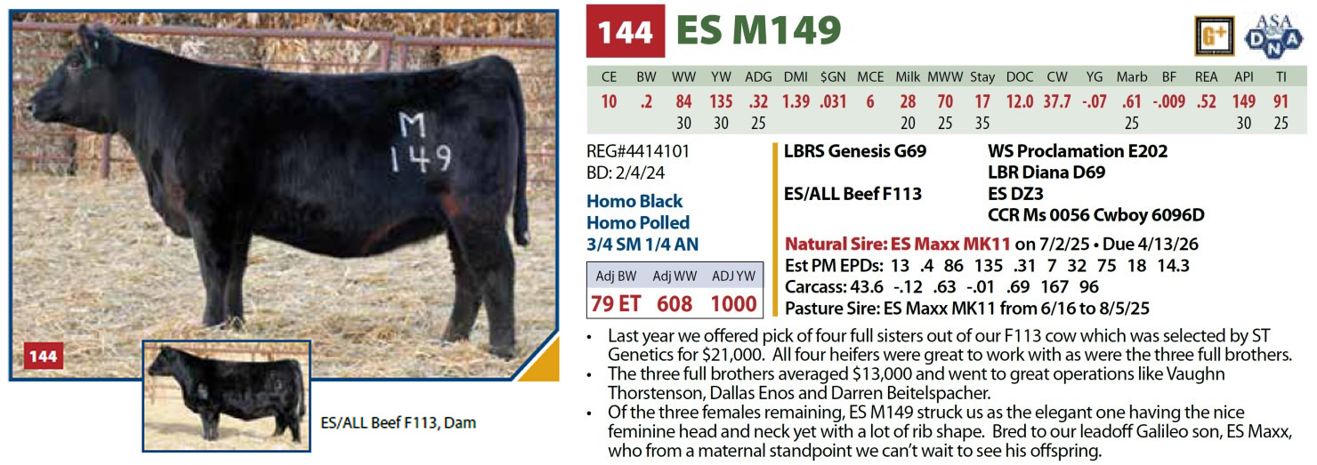 Lot 144: Eichacker Simmental/JK Angus - Annual Simmental & Angus Bull ...