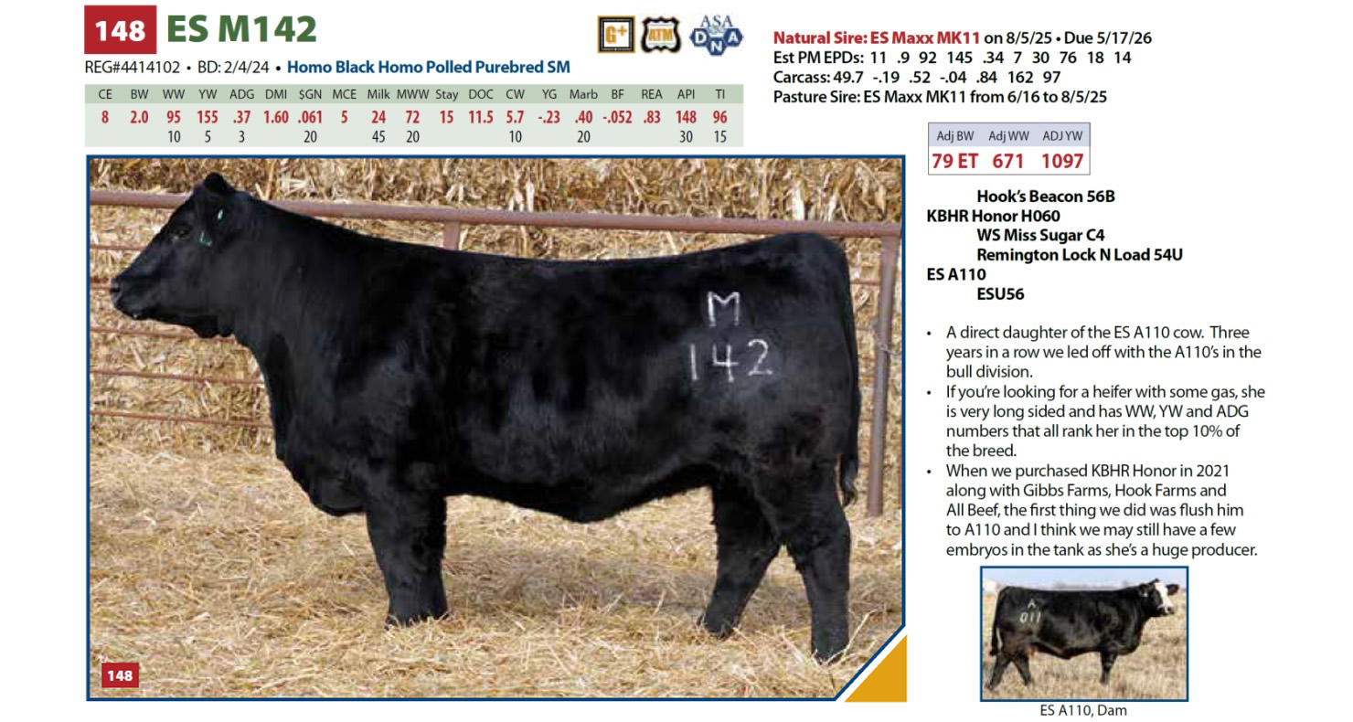 Lot 148: Eichacker Simmental/JK Angus - Annual Simmental & Angus Bull ...