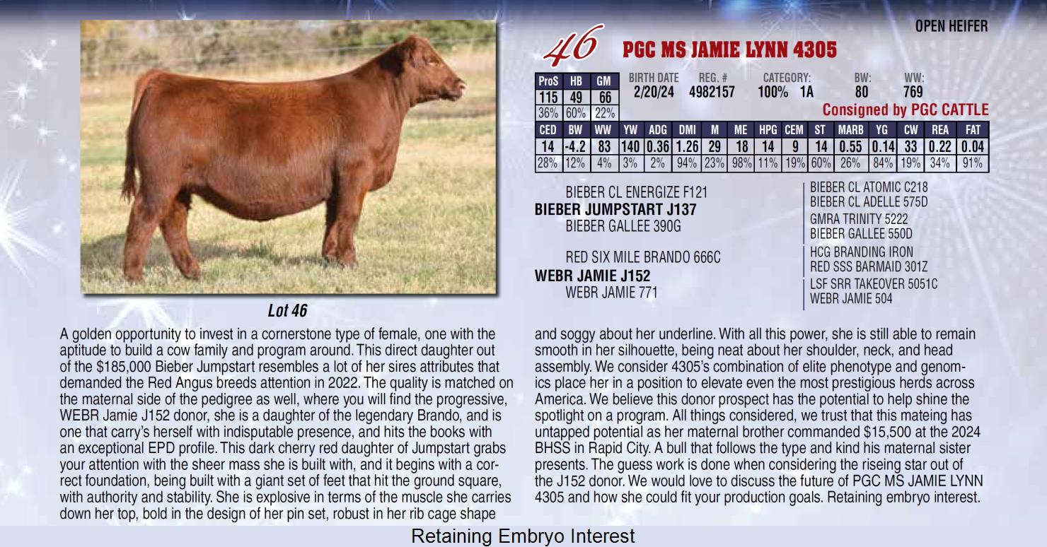 Lot 46: North Dakota Red Select - Annual Red Angus Female Sale | DVAuction