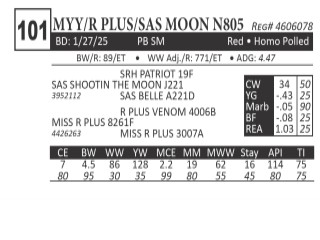 Lot 101: Springer Simmentals - Value Based Genetics Simmental Bull ...