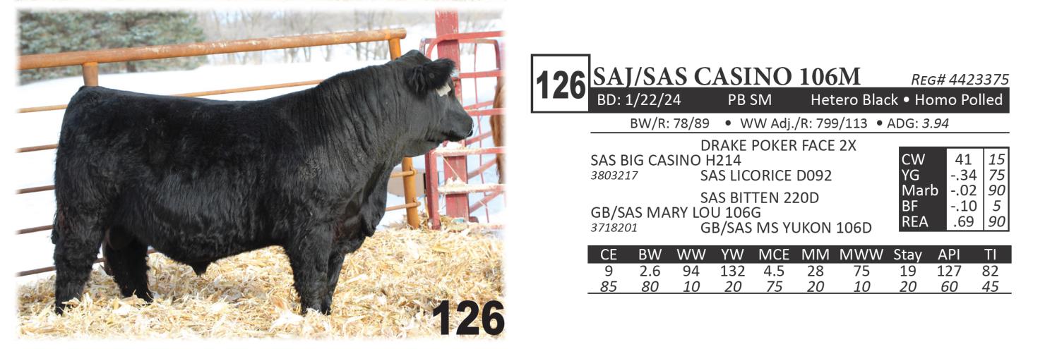 Lot 126: Springer Simmentals - Value Based Simmental Genetics Bull ...