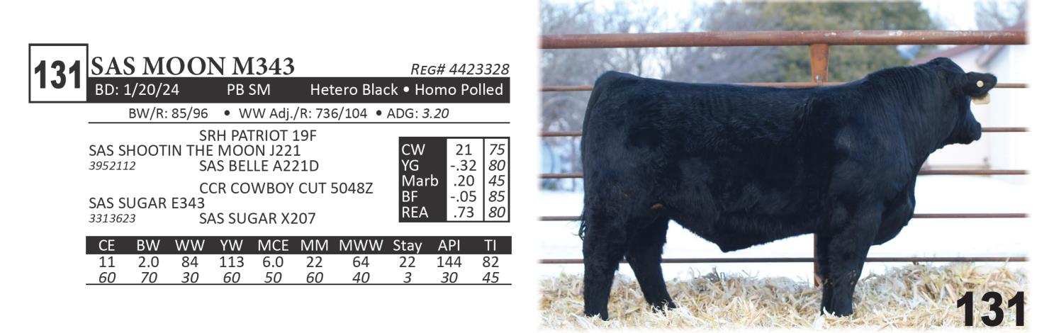 Lot 131: Springer Simmentals - Value Based Simmental Genetics Bull ...