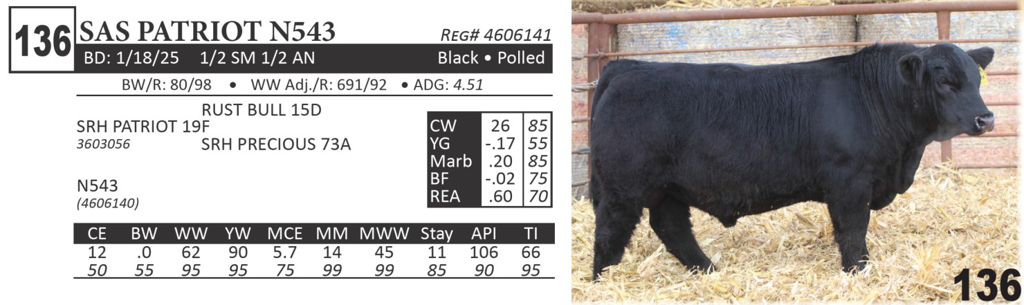 Lot 136: Springer Simmentals - Value Based Genetics Simmental Bull ...