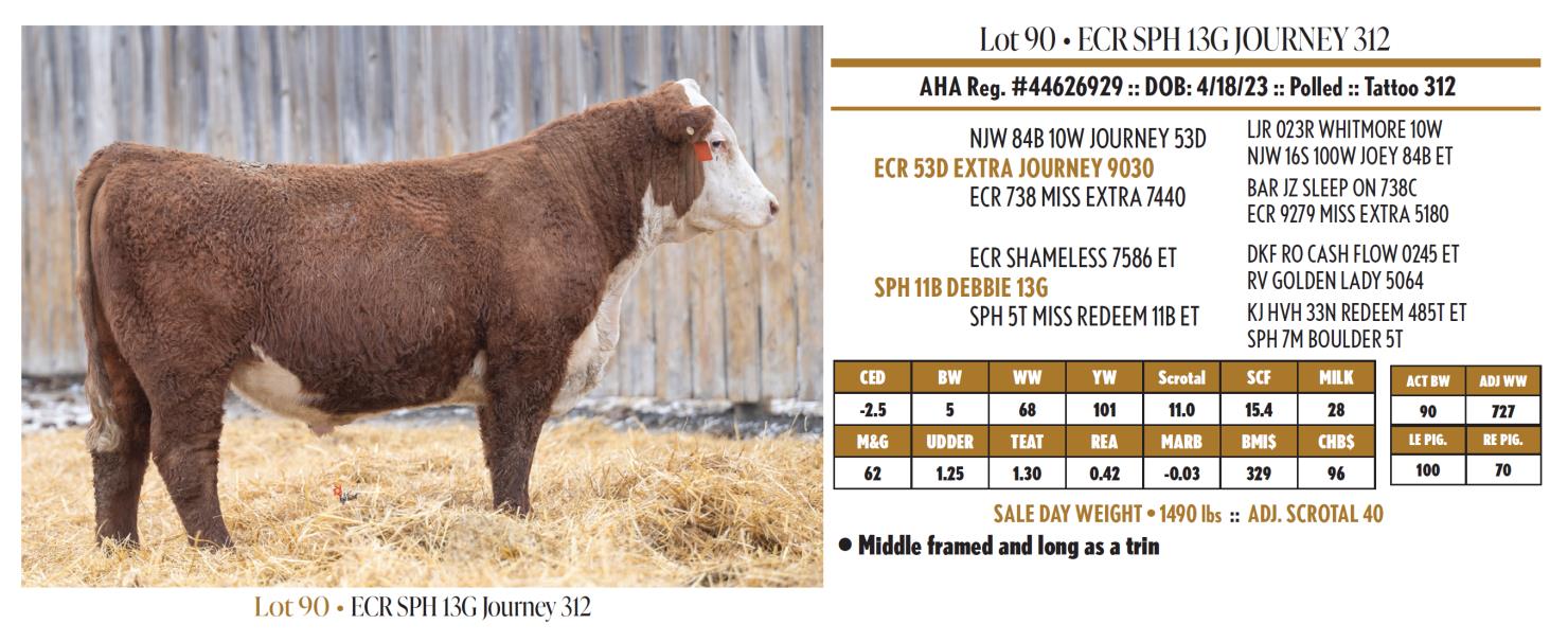 Lot 90: Fawcett's Elm Creek Ranch - Annual Hereford & Angus Bull ...