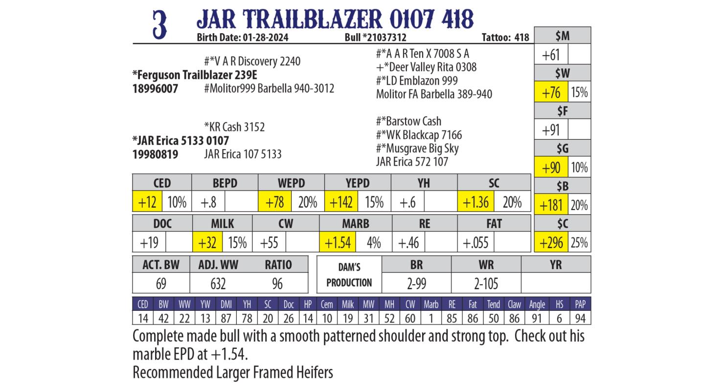 Lot 3: Jallo Angus Ranch - Annual Angus Bull & Female Sale | DVAuction