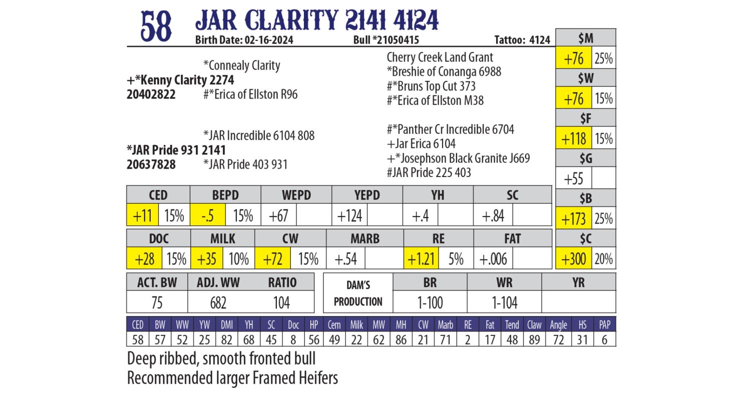 Lot 58: Jallo Angus Ranch - Annual Angus Bull & Female Sale | DVAuction