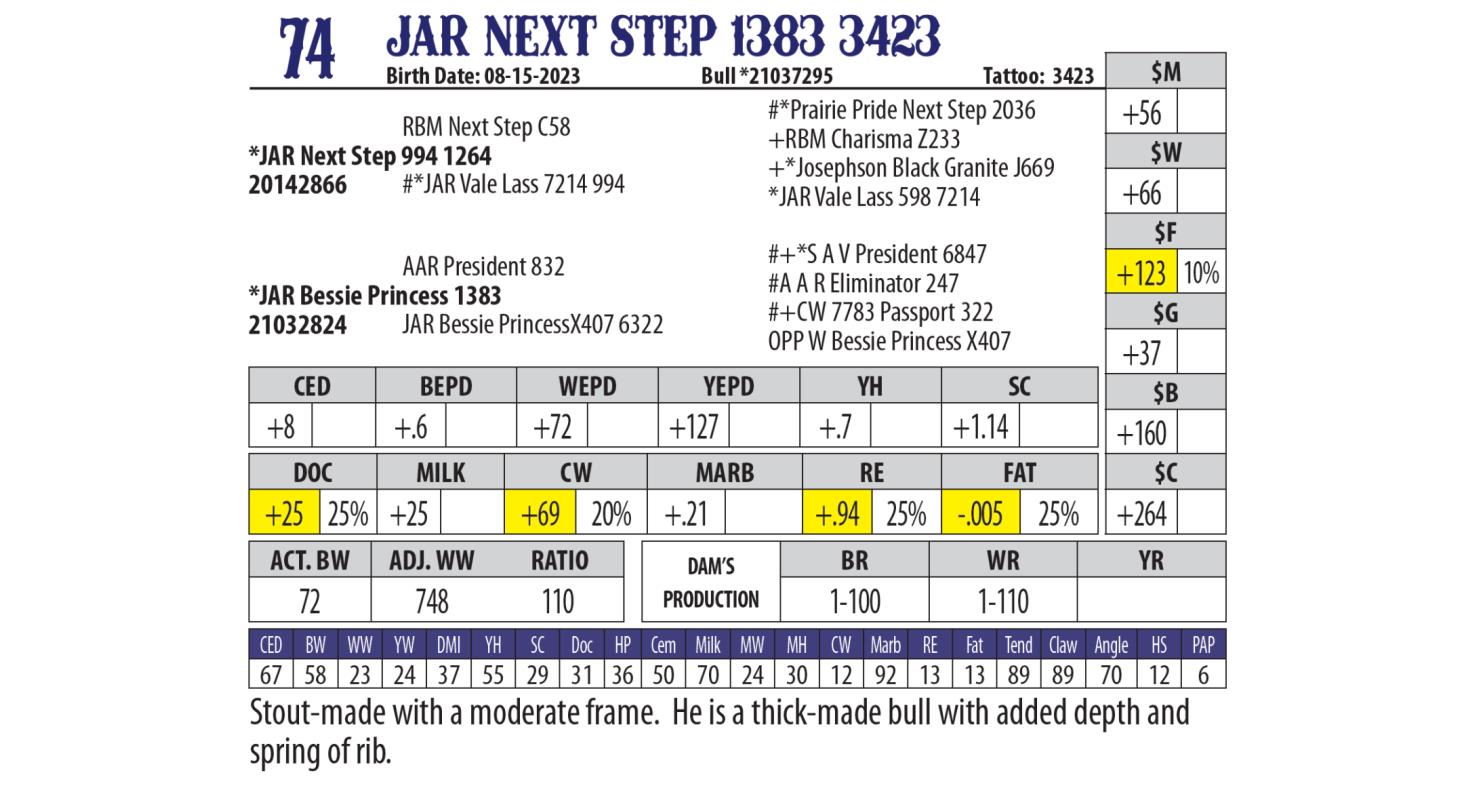Lot 74: Jallo Angus Ranch - Annual Angus Bull & Female Sale | DVAuction