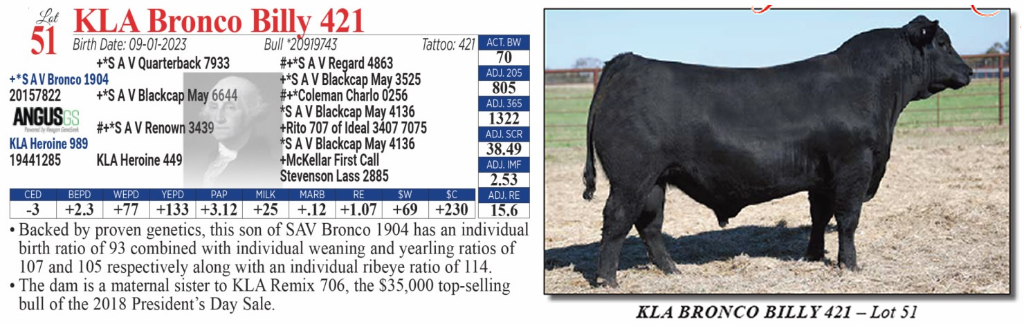 Lot 51: Albrecht/Penz Angus - Bull & Female Sale | DVAuction