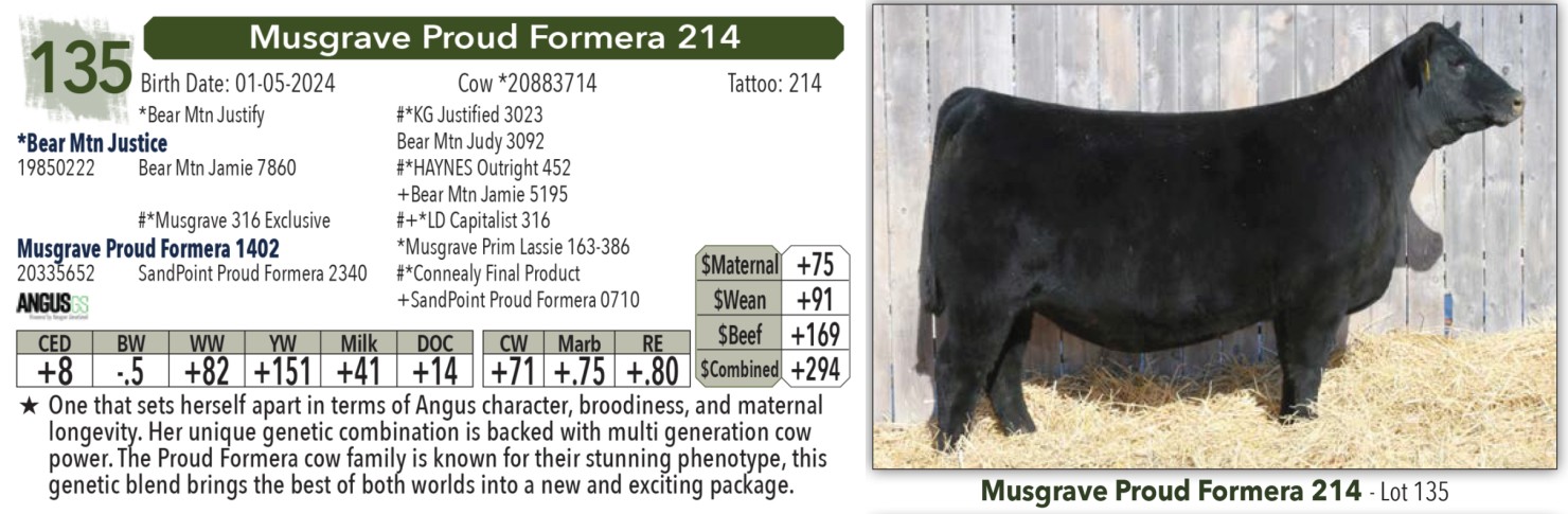 Lot 135: Musgrave Angus Production Sale | DVAuction