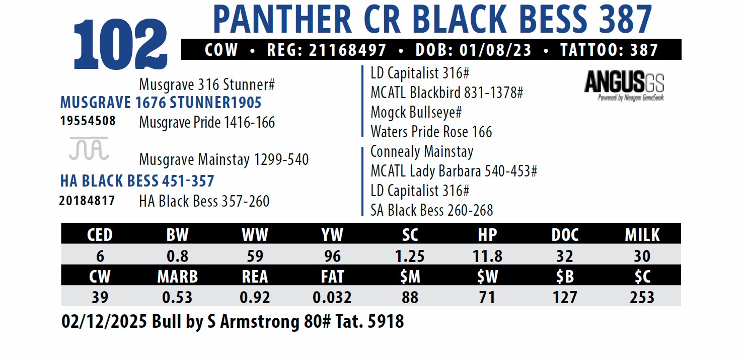Lot 102: Panther Creek Ranch - 31st Annual Workin Kind Angus Bull Sale ...