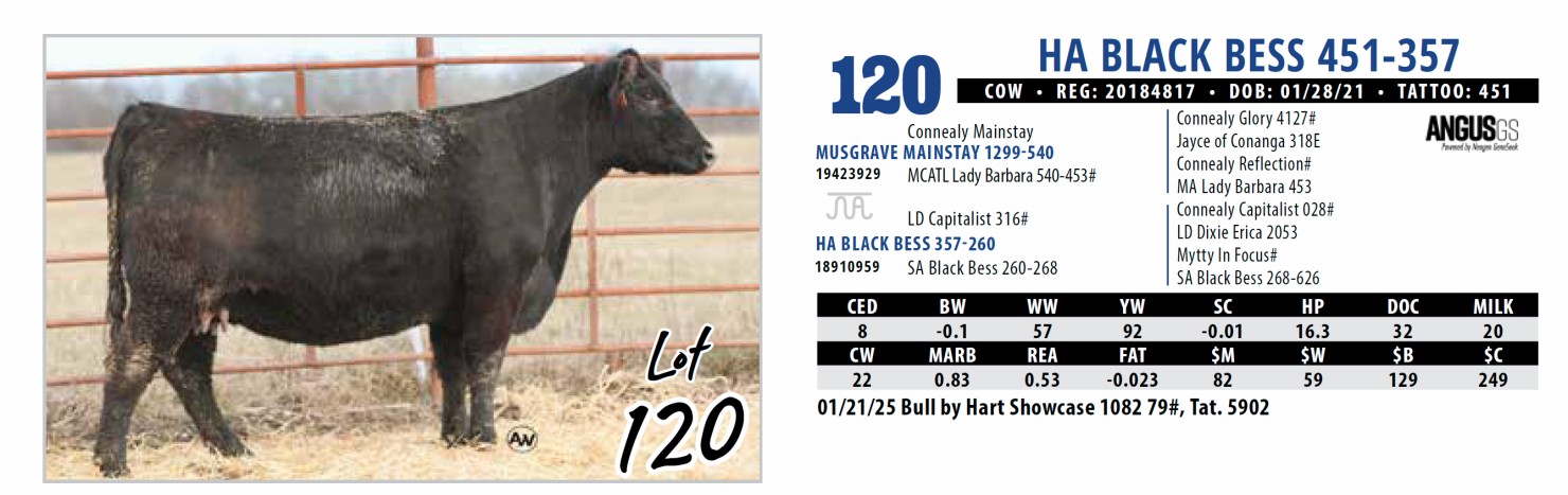 Lot 120: Panther Creek Ranch - 31st Annual Workin Kind Angus Bull Sale ...