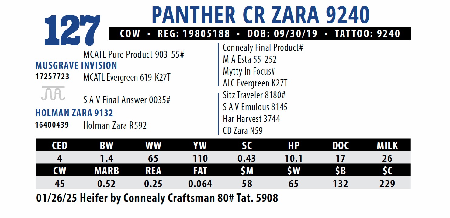 Lot 127: Panther Creek Ranch - 31st Annual Workin Kind Angus Bull Sale ...