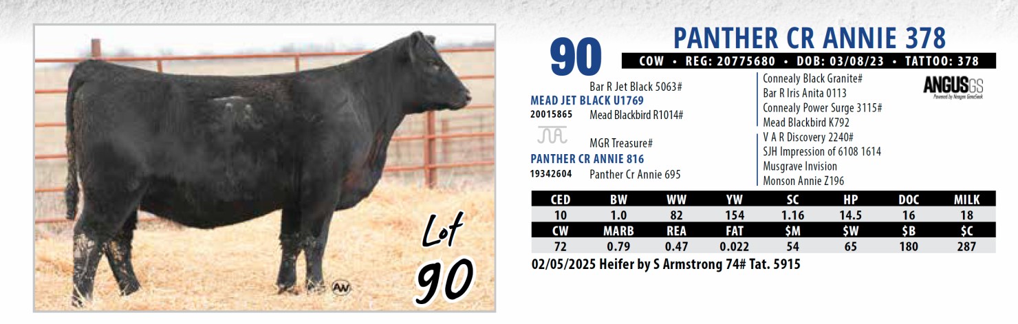 Lot 90: Panther Creek Ranch - 31st Annual Workin Kind Angus Bull Sale ...