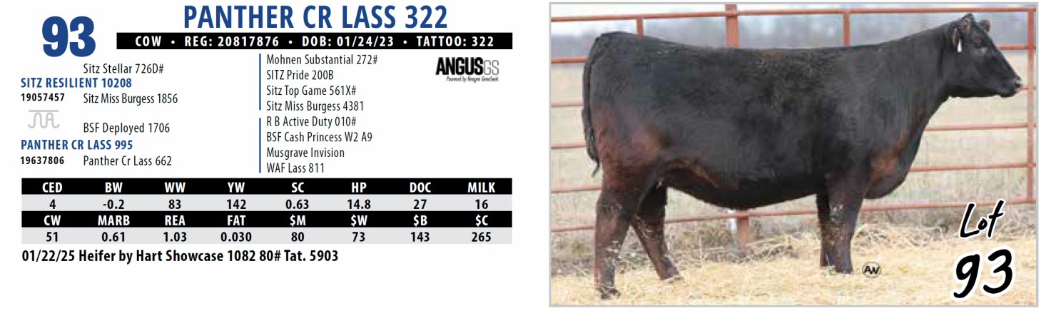 Lot 93: Panther Creek Ranch - 31st Annual Workin Kind Angus Bull Sale ...