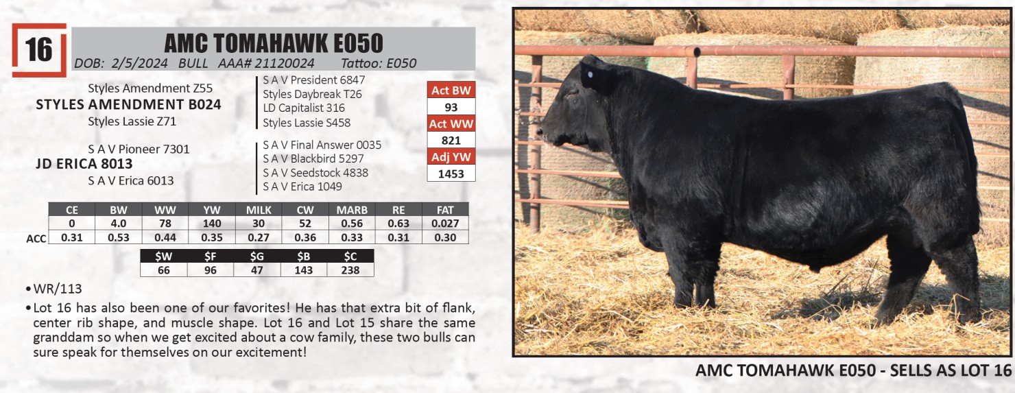 Lot 16: Styles Angus - 47th Annual Angus Bull & Female Sale | DVAuction