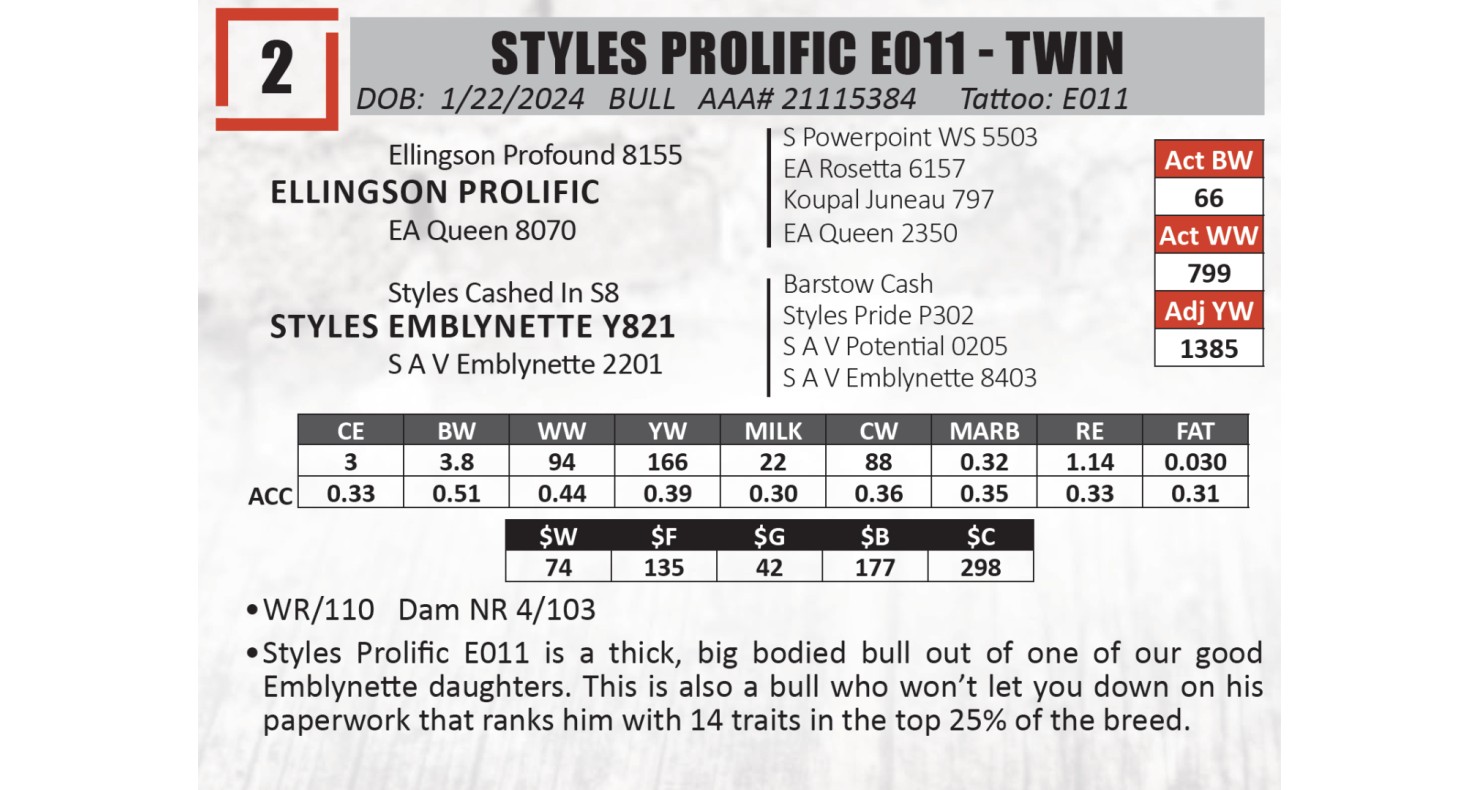 Lot 2: Styles Angus - 47th Annual Angus Bull & Female Sale | DVAuction