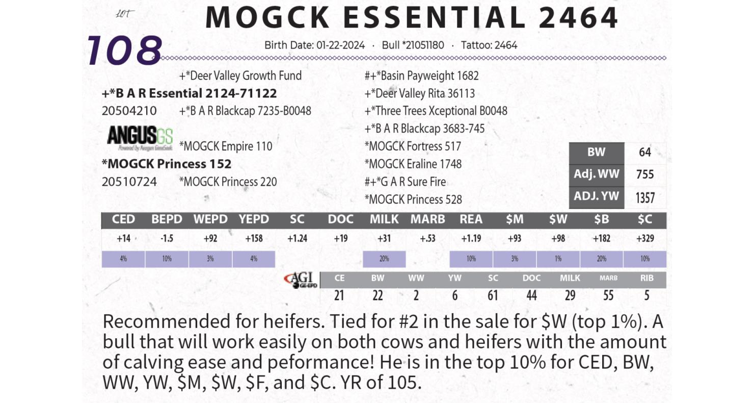 Lot 108: Mogck & Sons Angus - 42nd Annual Angus Bull & Female Sale ...