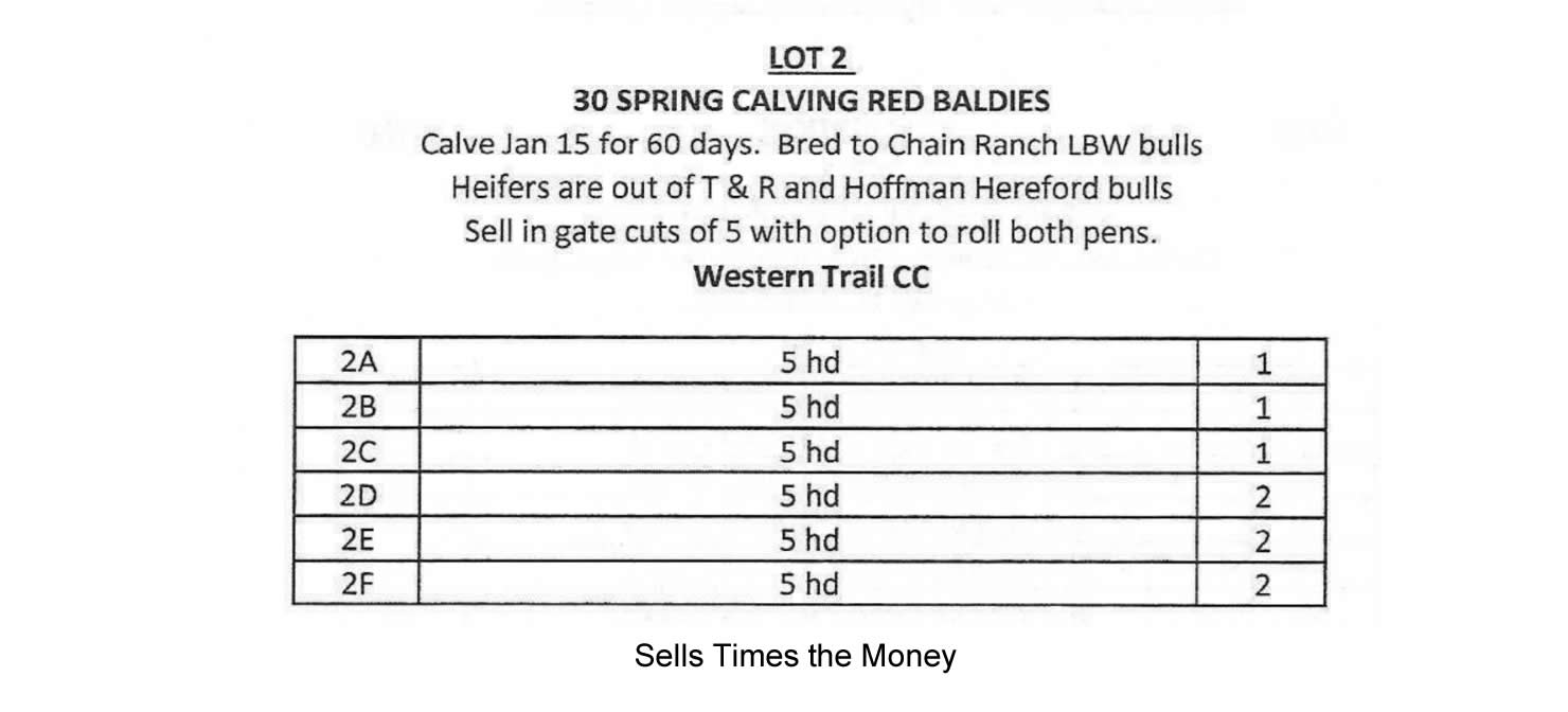 Lot 2f: Chain Ranch - Red Dirt Roundup | DVAuction