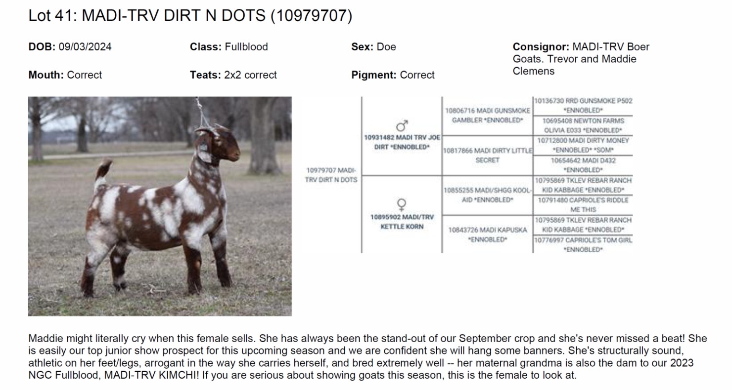 Lot 41: Splash of Color - Spring Boer Goat Sale | DVAuction