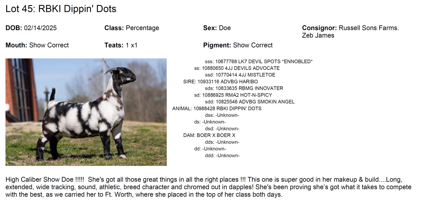 Lot 45: Splash of Color Sale - Spring Boer Goat Sale | DVAuction