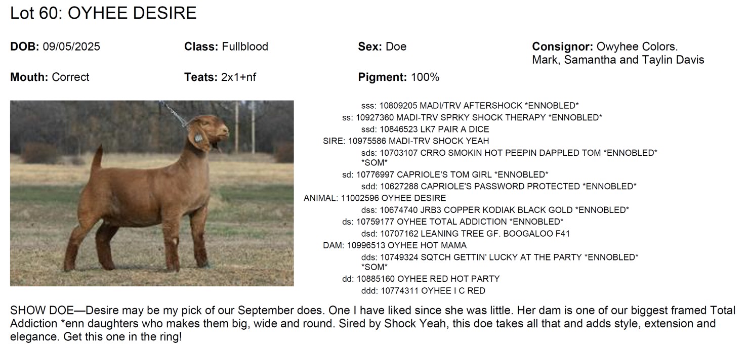 Lot 60: Splash of Color Sale - Spring Boer Goat Sale | DVAuction