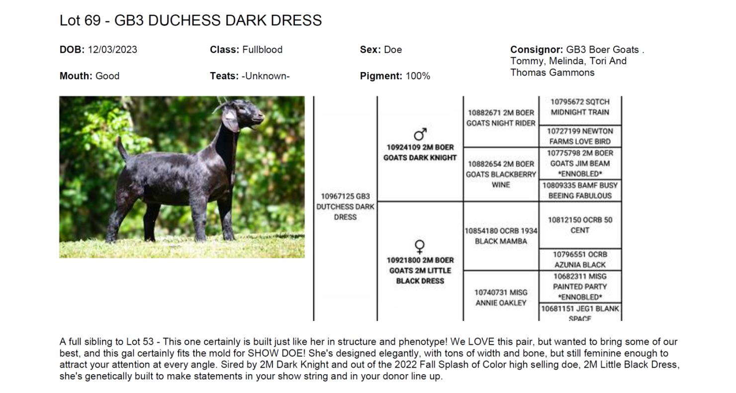 Lot 69: Splash of Color - Fall Boer Goat Sale | DVAuction