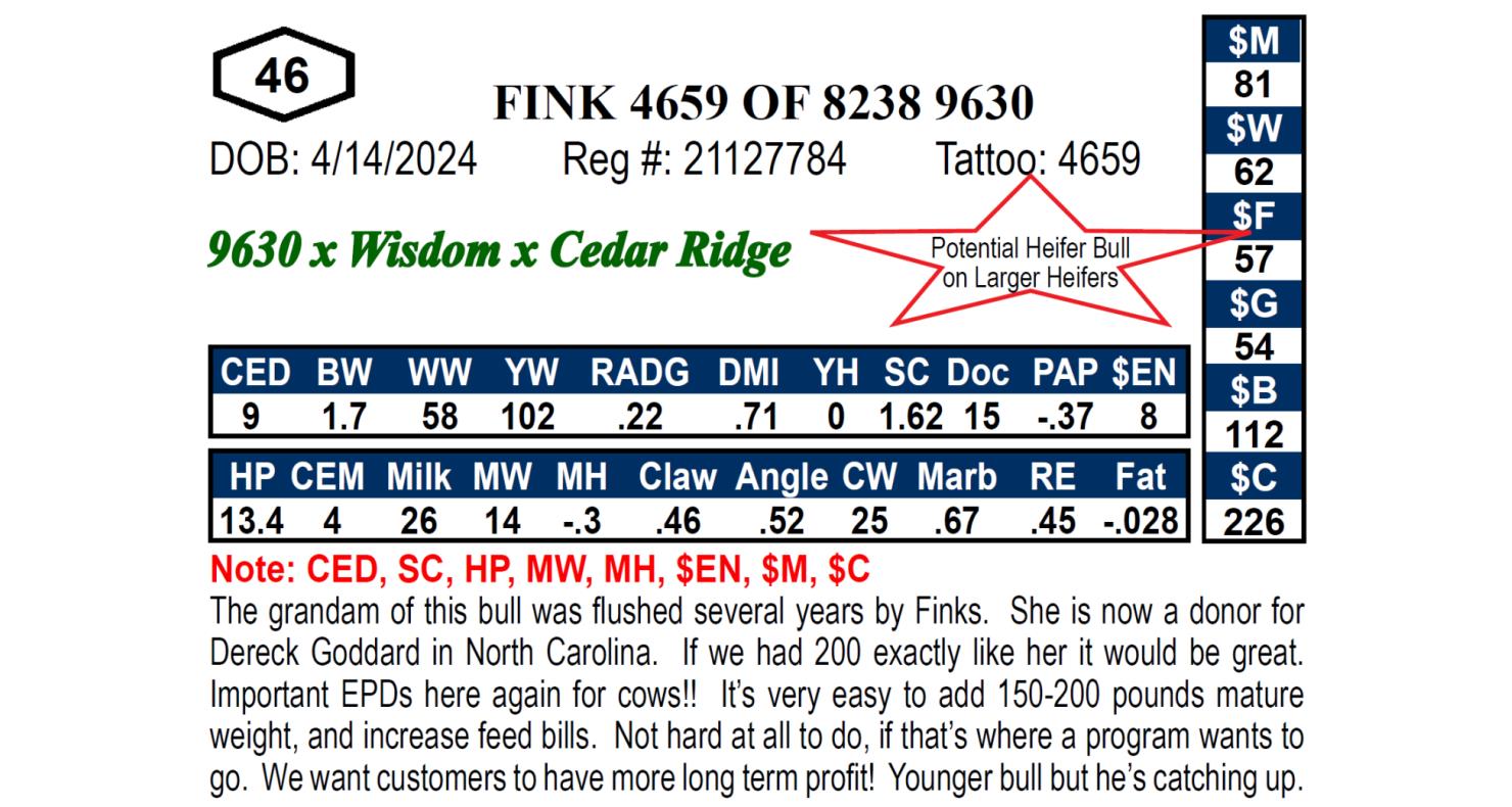 Lot 46: Fink Beef Genetics - Spring Bull and Female Sale | DVAuction