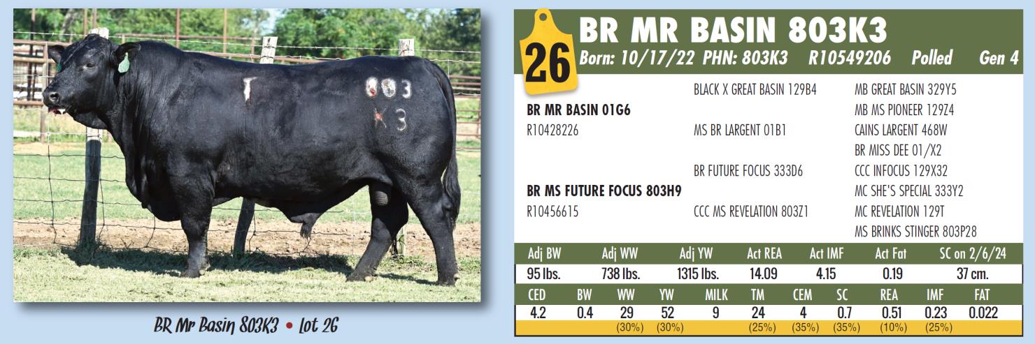 Lot 26: The Branch Ranch - Rough & Ready Bull Sale | DVAuction