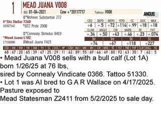 Lot 1: Mead Farms Bull & Female Sale | DVAuction