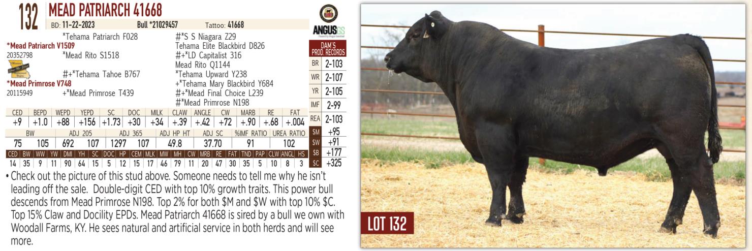 Lot 132: Mead Farms Bull Sale | DVAuction