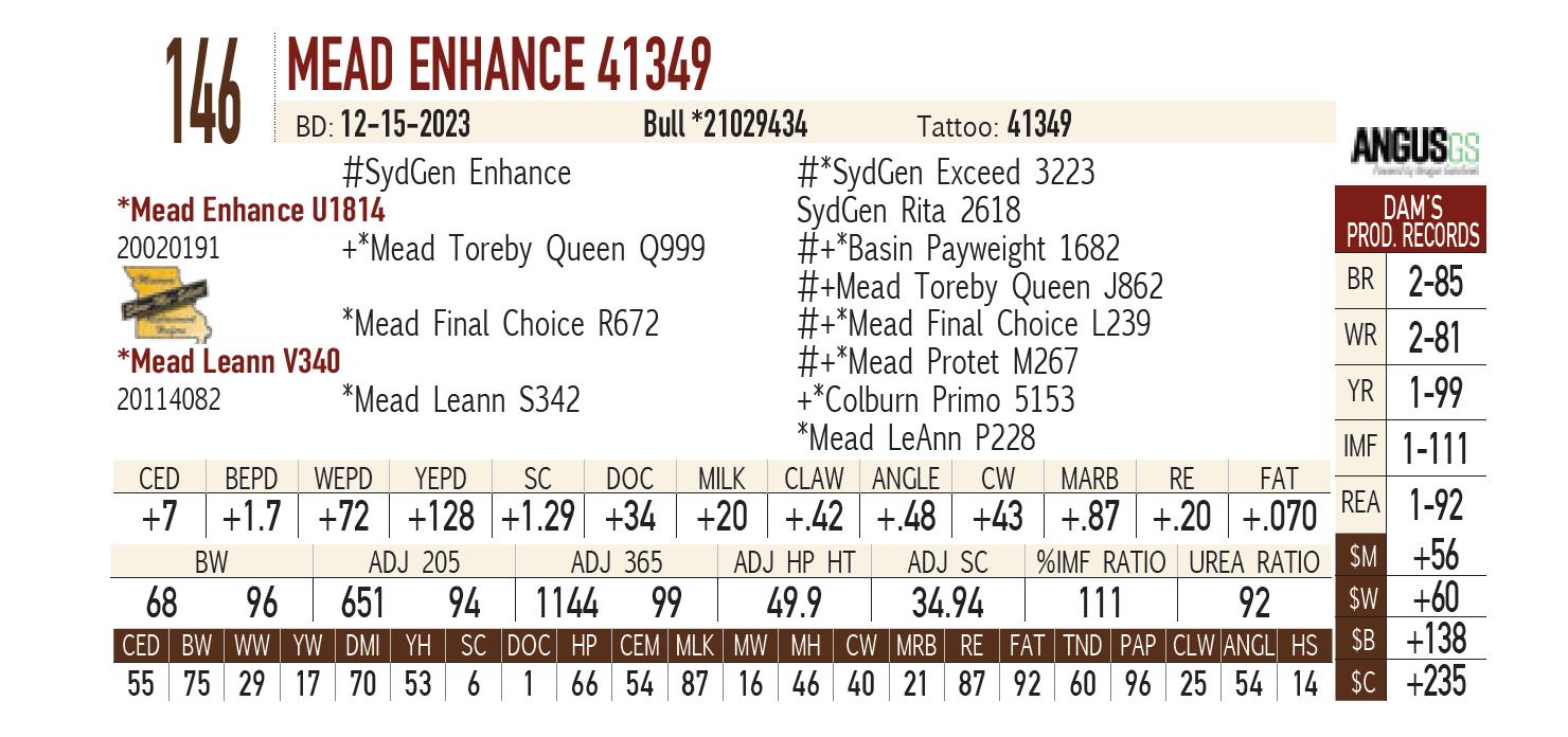 Lot 146: Mead Farms Bull Sale | DVAuction