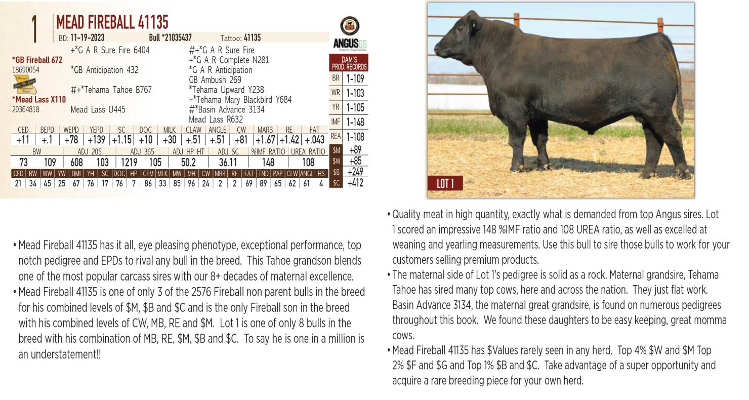 Lot 1: Mead Farms Bull Sale | DVAuction