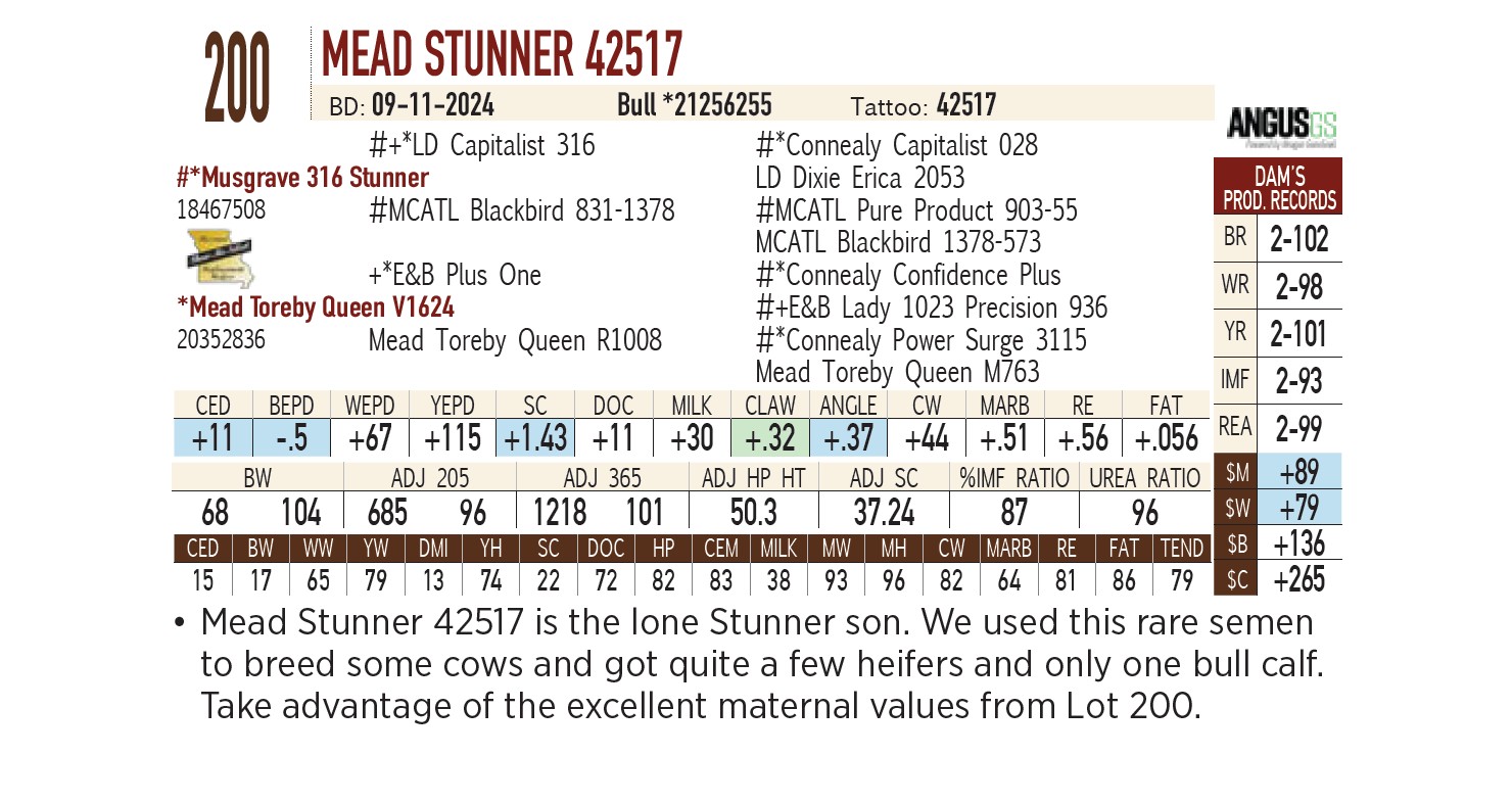 Lot 200: Mead Farms - Annual Fall Bull & Female Sale | DVAuction