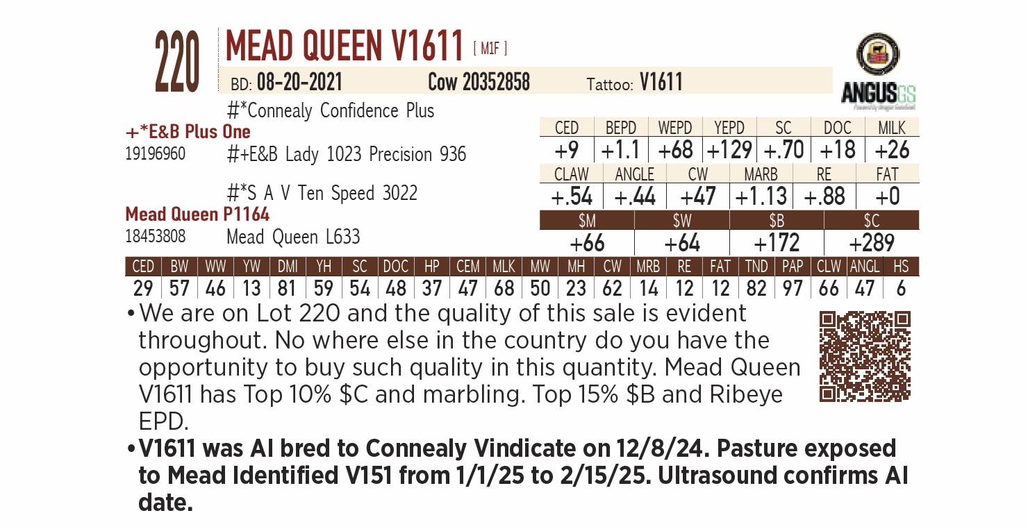 Lot 220: Mead Farms Bull & Female Sale | DVAuction