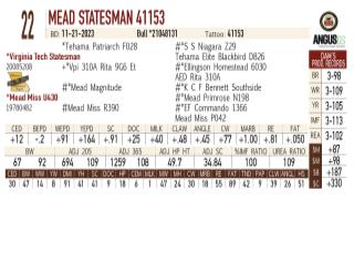 Lot 22: Mead Farms Bull Sale | DVAuction