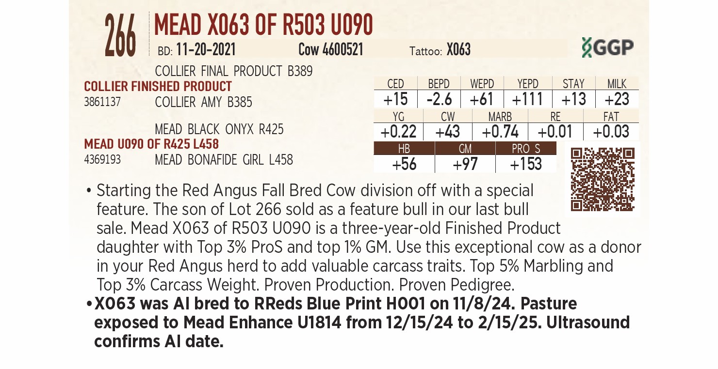 Lot 266: Mead Farms Bull & Female Sale | DVAuction
