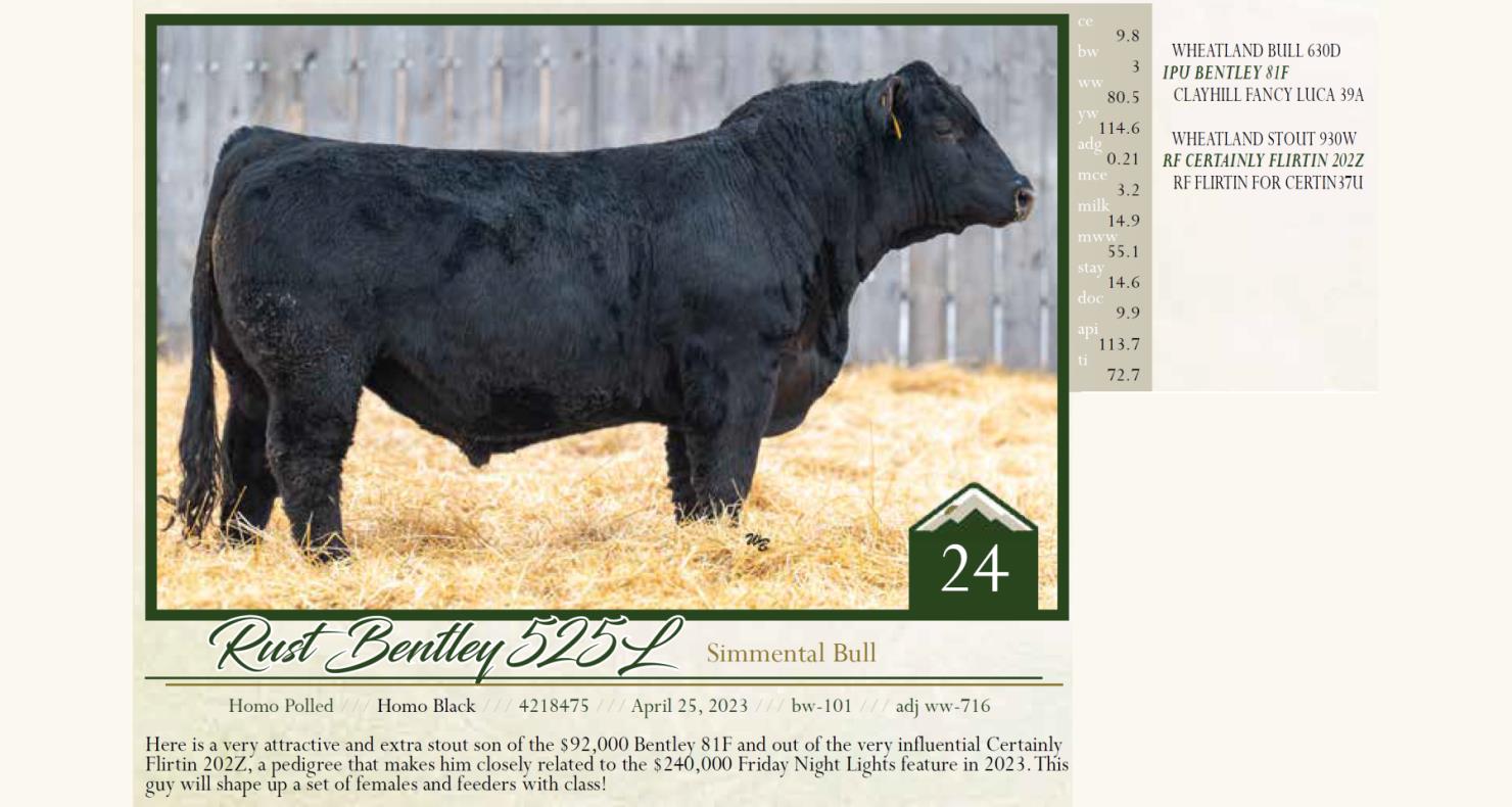 Lot 24: Rust Mountain View Ranch - Annual Production Sale | DVAuction