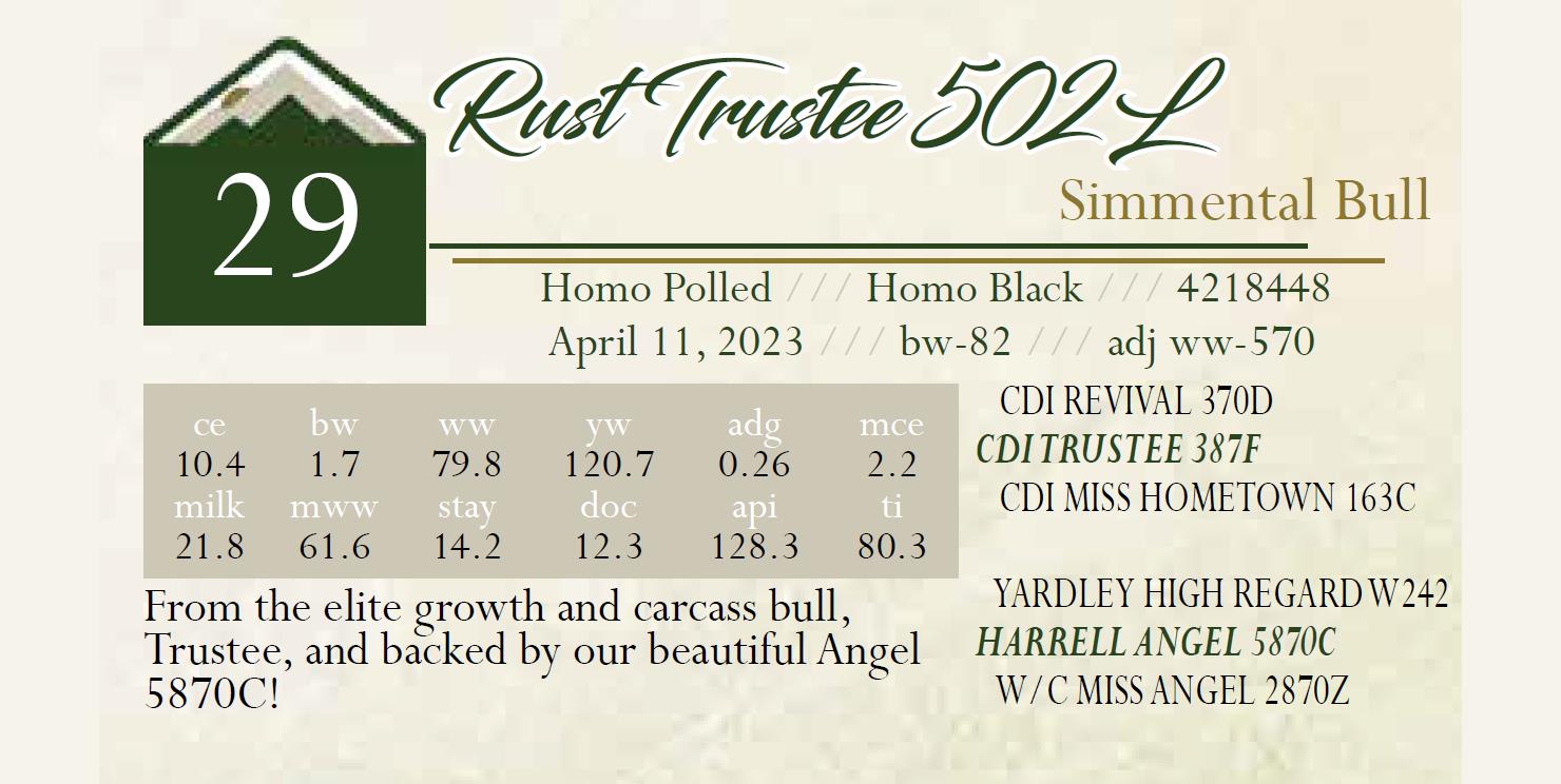 Lot 29: Rust Mountain View Ranch - Annual Production Sale | DVAuction
