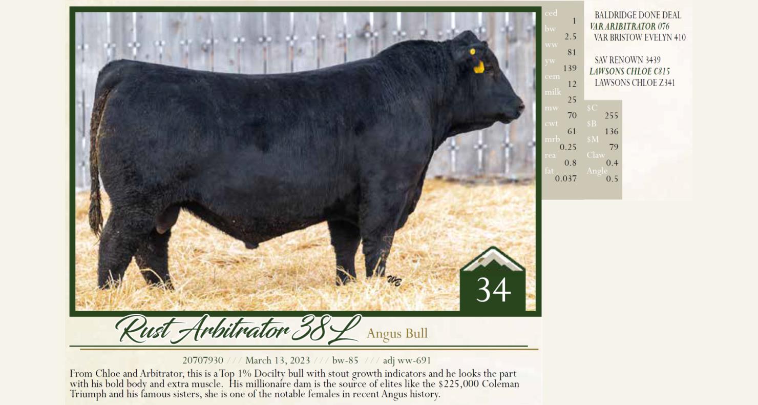 Lot 34: Rust Mountain View Ranch - Annual Production Sale | DVAuction