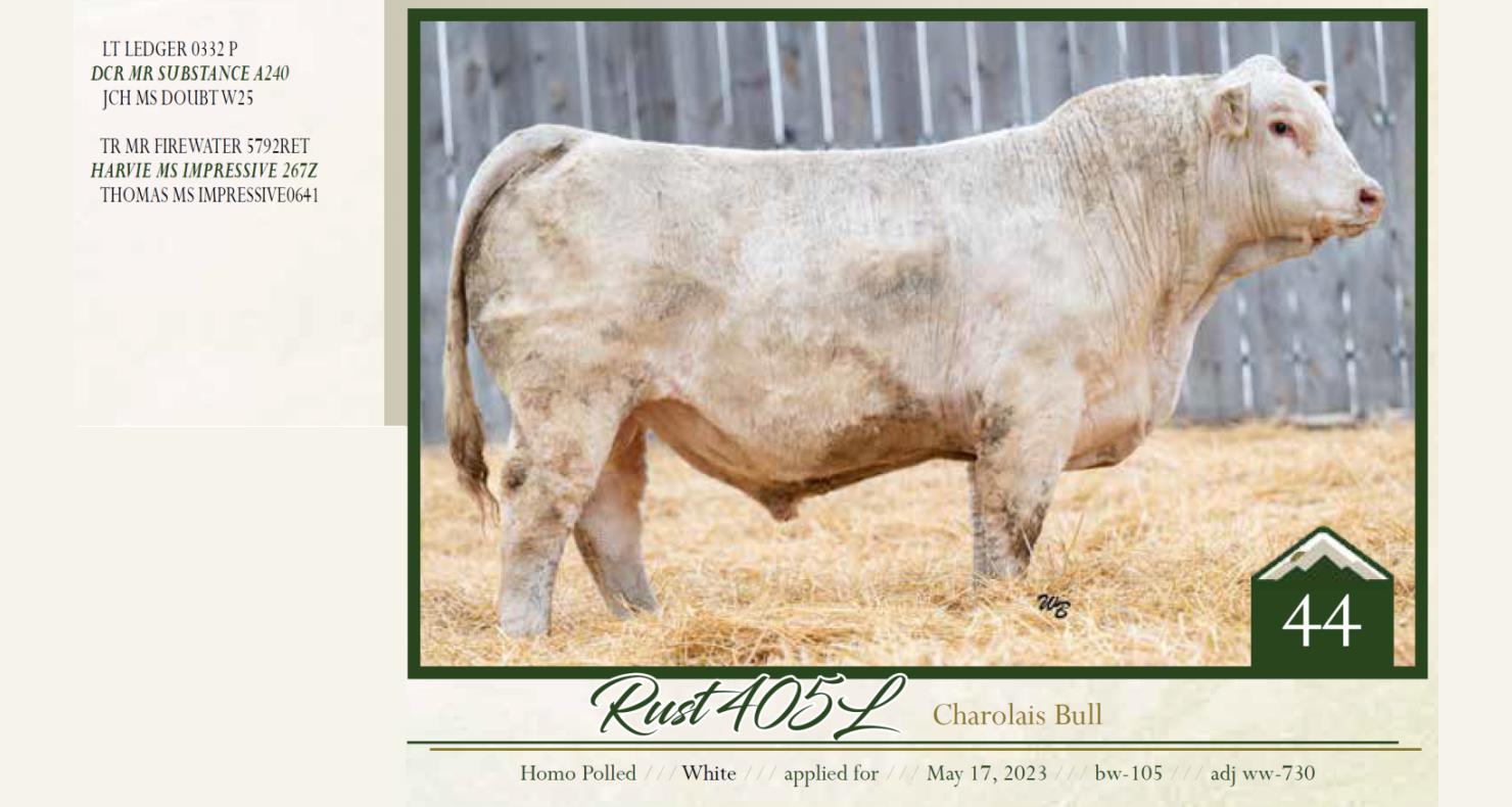 Lot 44: Rust Mountain View Ranch - Annual Production Sale | DVAuction
